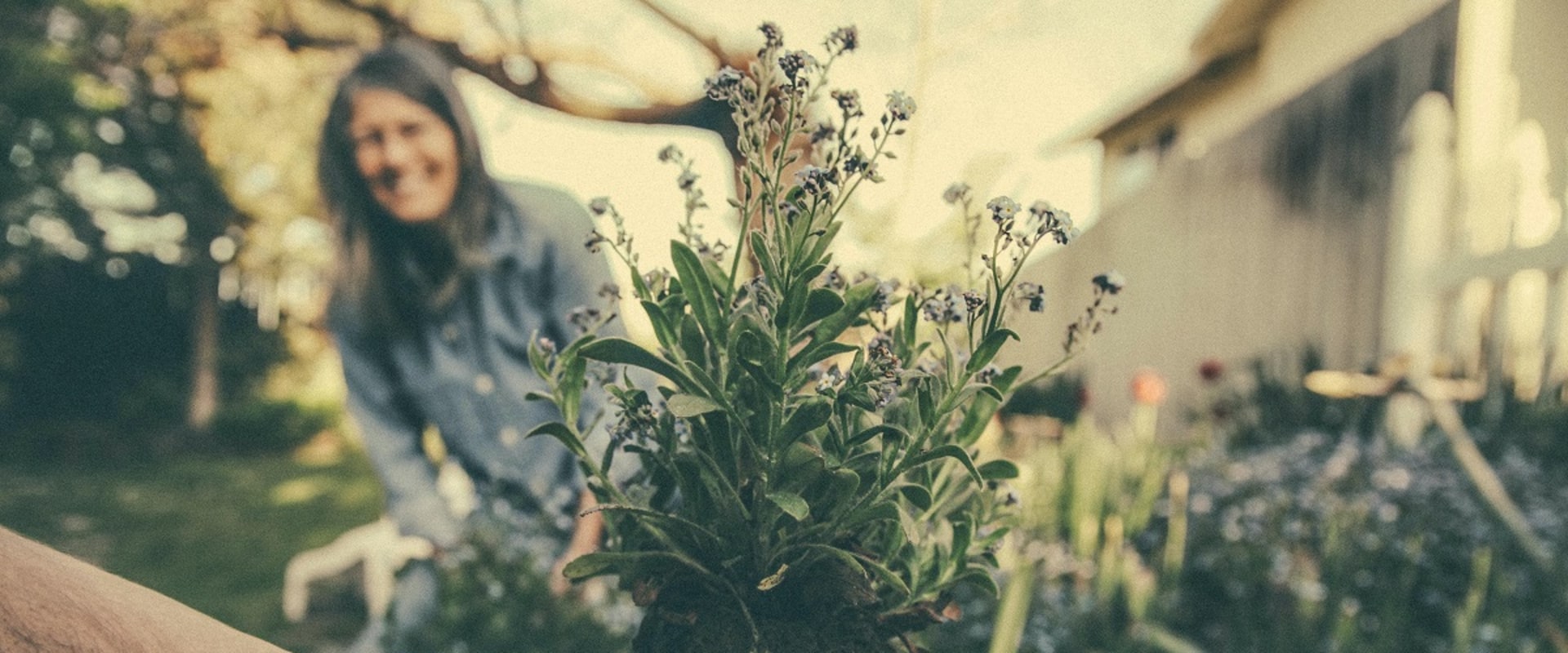 What is the importance of garden?