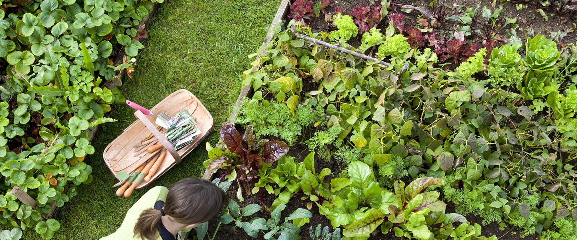 What should a beginner garden?