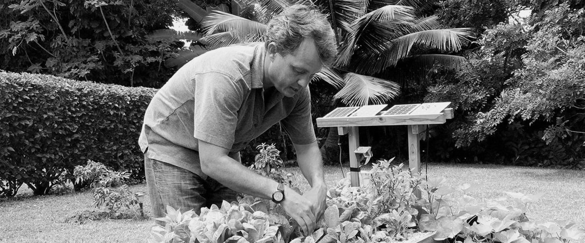 Who invented gardening?